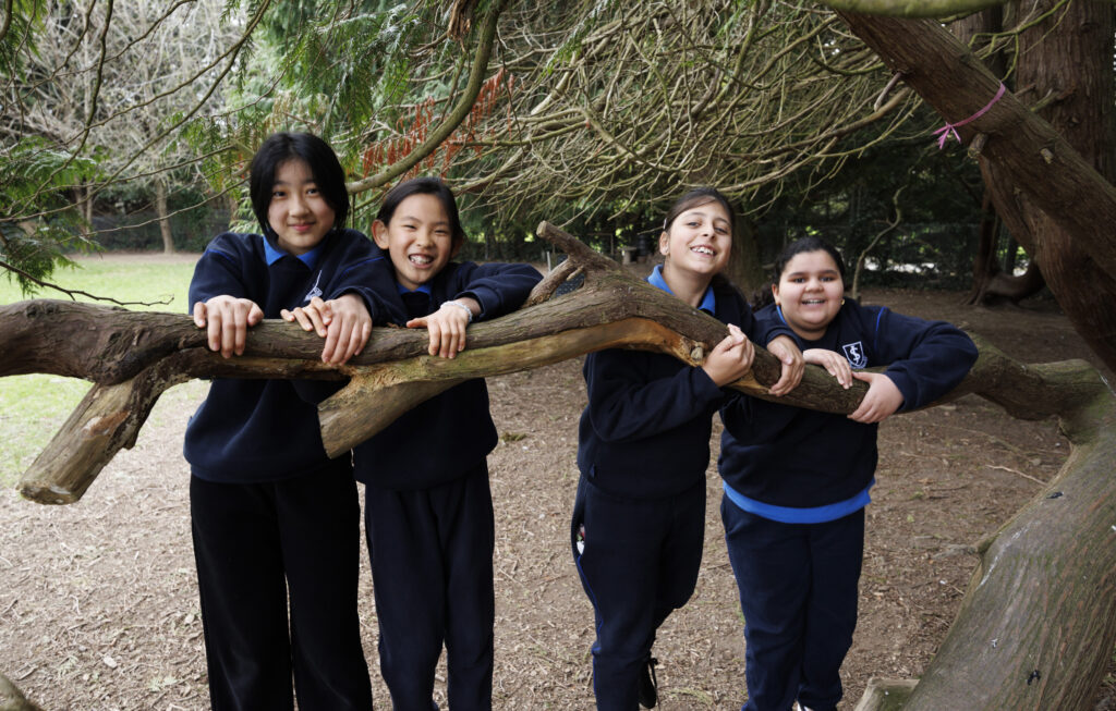 Home - John Scottus Schools